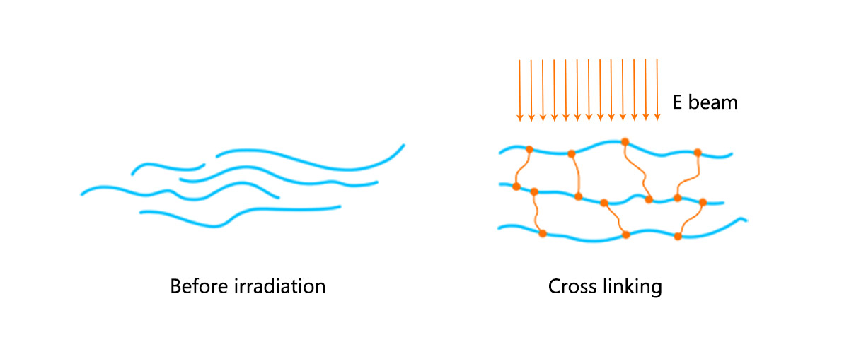 Surprising Facts About Cross-Linking Theory's Evolution - EBM MACHINE