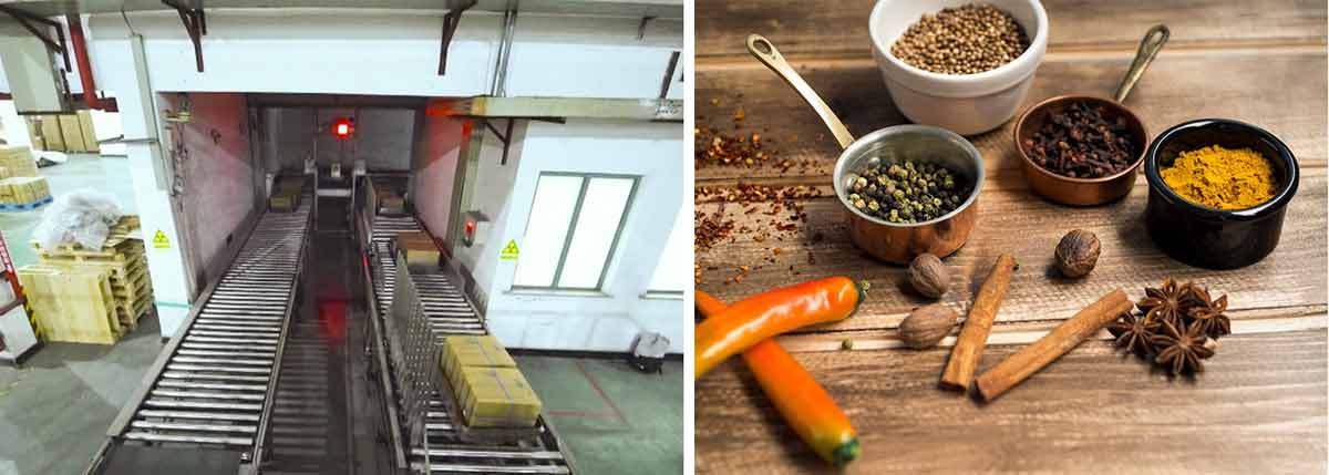 What Is the Gamma Radiation Dose for Sterilization? - EBM MACHINE