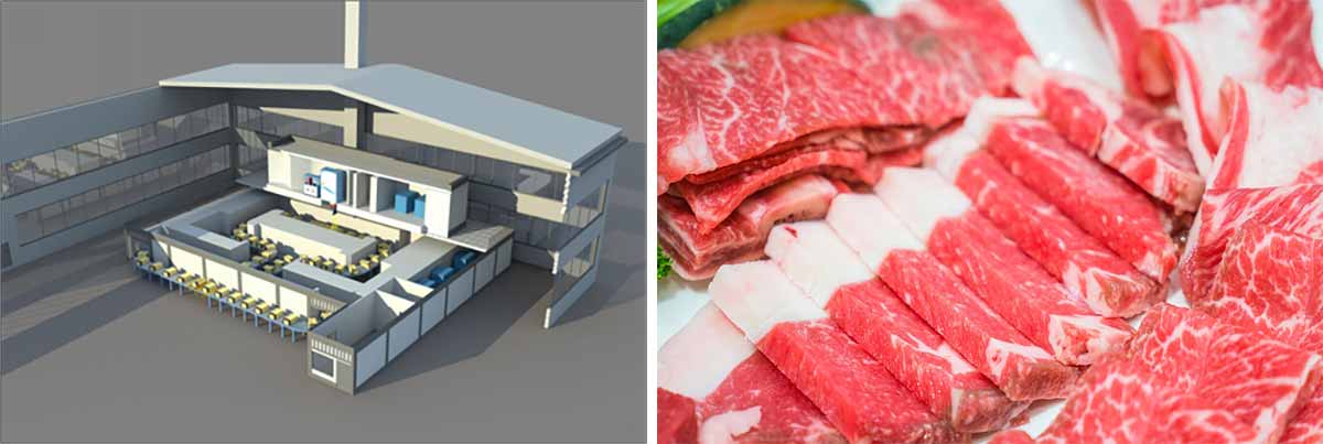 The Pros and Cons of Gamma Radiation in Food Sterilization - EBM MACHINE