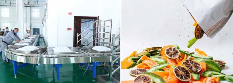 5 Ways Gamma Irradiation Machine Ensure Safety - EBM MACHINE