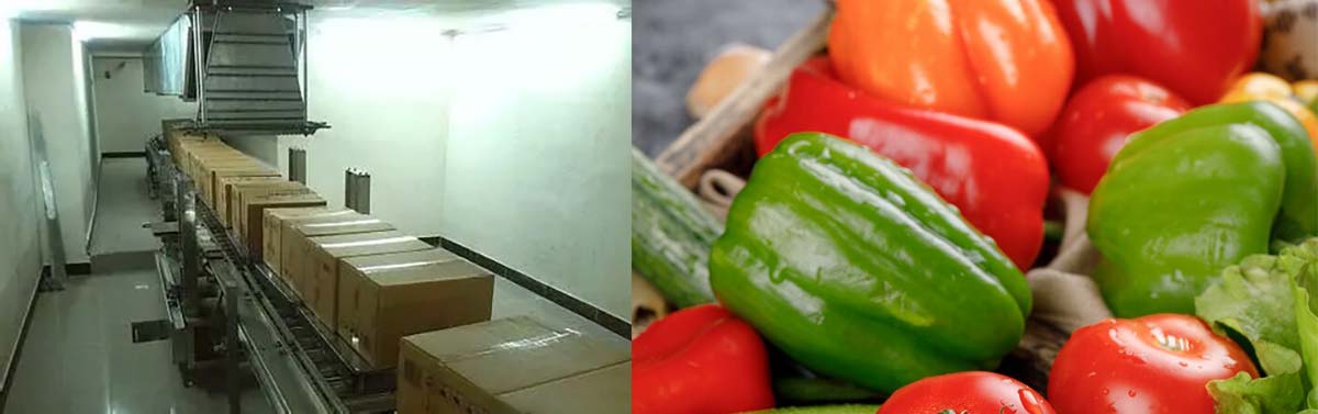 A Complete Guide to Selecting the Best UV Food Sterilizer - EBM MACHINE