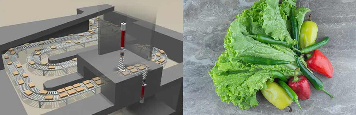 A Complete Guide to Selecting the Best UV Food Sterilizer - EBM MACHINE