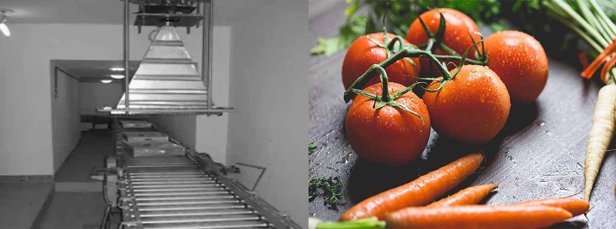A Complete Guide to Selecting the Best UV Food Sterilizer - EBM MACHINE