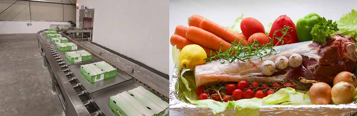 The Environmental and Health Consequences of Ethylene Oxide in Food ...