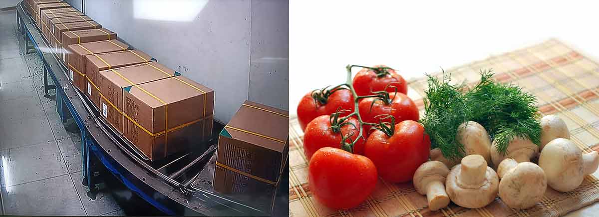 Gamma Ray Food Sterilization Tips for Beginners - EBM MACHINE