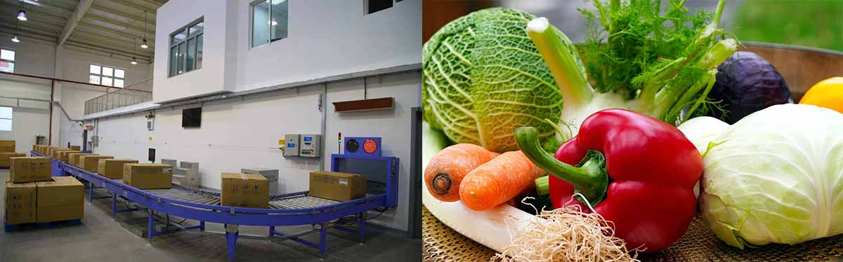 Sterilization of Food by Radiation in the Meat and Seafood Industry ...