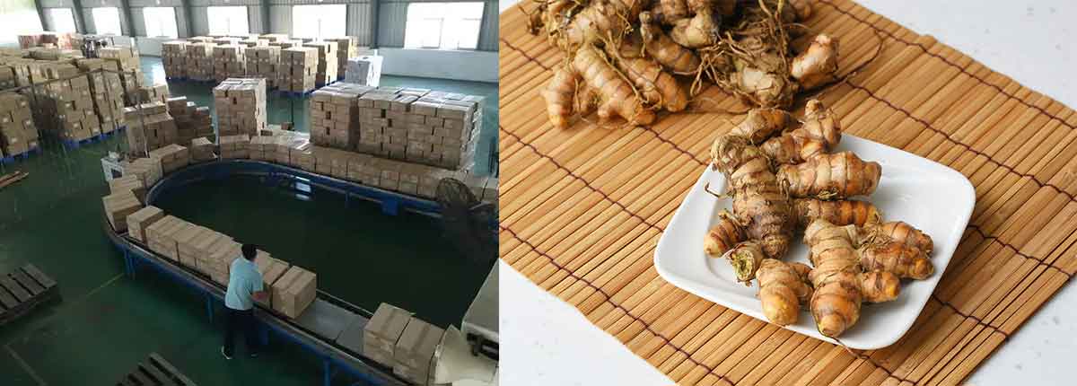 The Science Behind Cold Sterilization in Food Preservation - EBM MACHINE