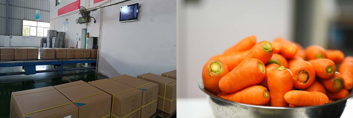 The Science Behind Irradiation Sterilization of Food and Its Role in ...