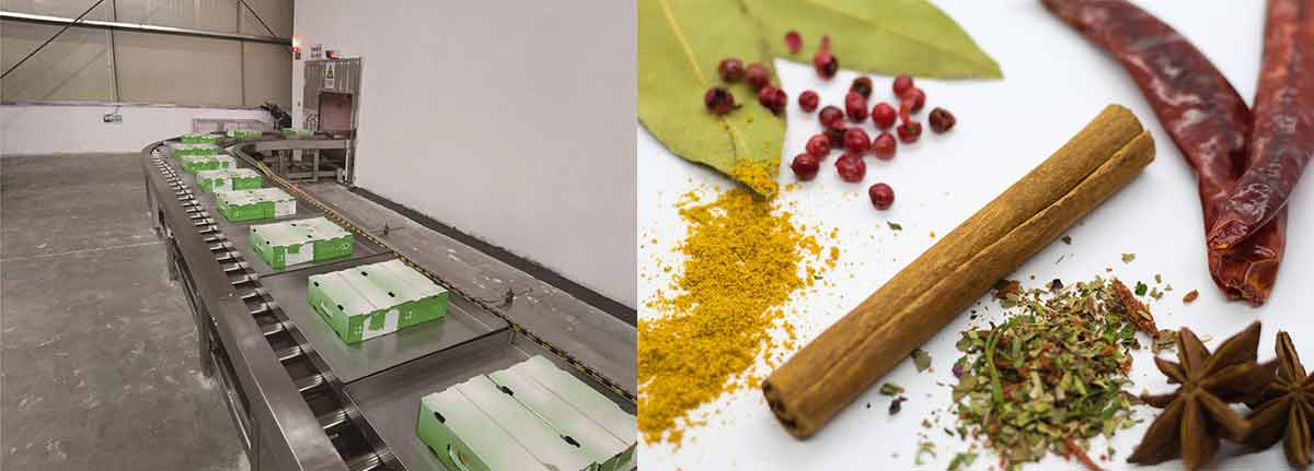 How Sterilization for Food Preservation Ensures the Safety of Ready-to ...