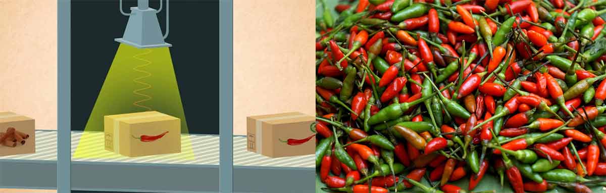 How Gamma Rays Sterilize Food and Impact Packaging Materials? - EBM MACHINE