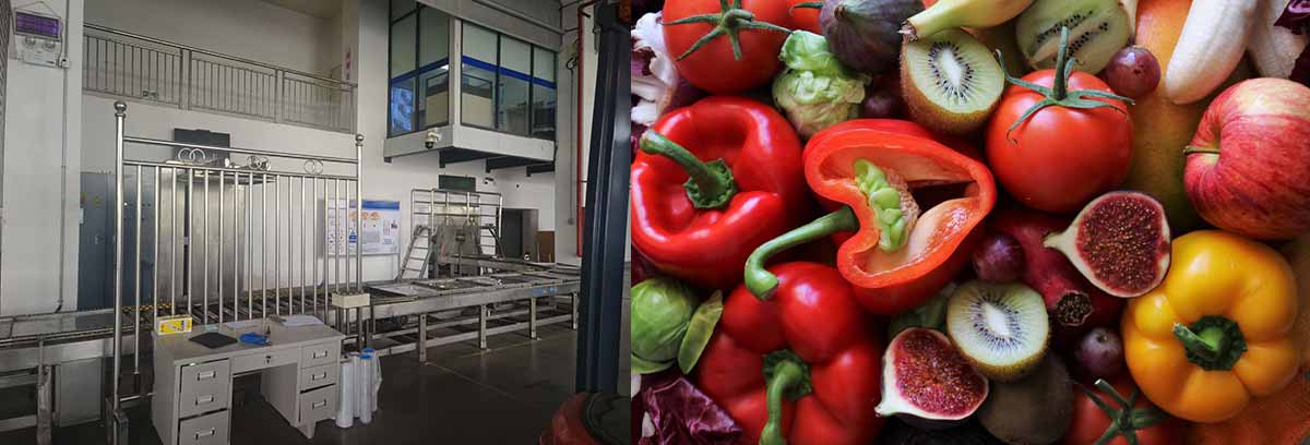 The Science Behind Irradiation Sterilization of Food and Its Role in ...