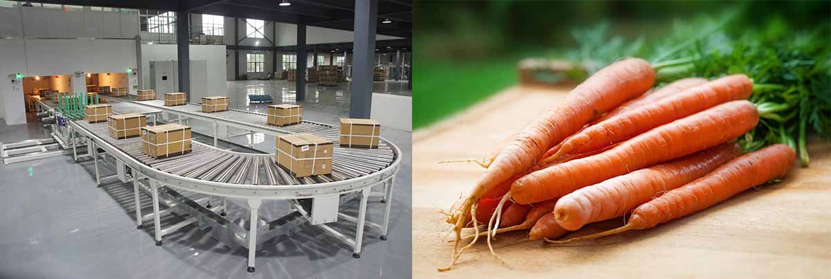 Understanding the Environmental Costs of Sterilizing Food with Gamma ...