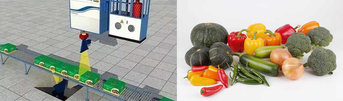How a UV Sterilizer for Food Can Reduce Bacterial Contamination in ...