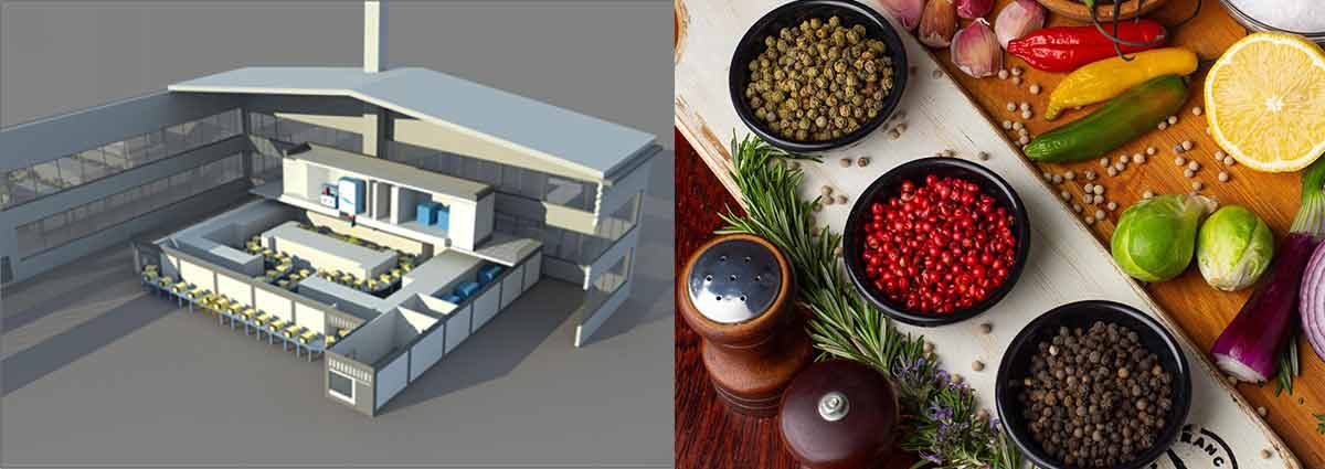 How a UV Sterilizer for Food Can Reduce Bacterial Contamination in ...