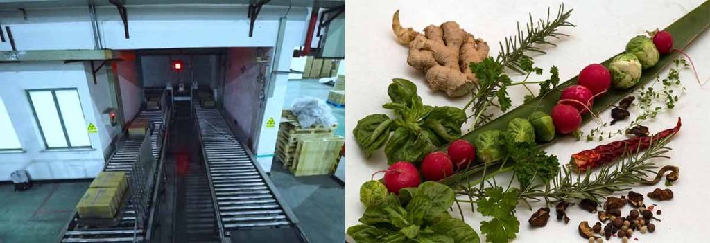 Pros and Cons of Using Ethylene Oxide Food Sterilization - EBM MACHINE