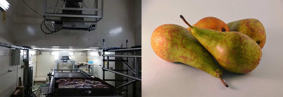 The Science Behind Food Sterilization Techniques for Acidic and Low ...