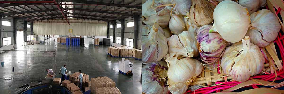 How Ethylene Oxide Food Sterilization Supports Global Food Safety ...