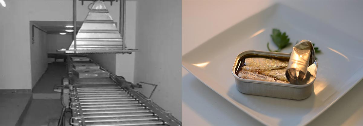 How Cold Chain Integration Enhances Gamma Radiation Food Sterilization ...