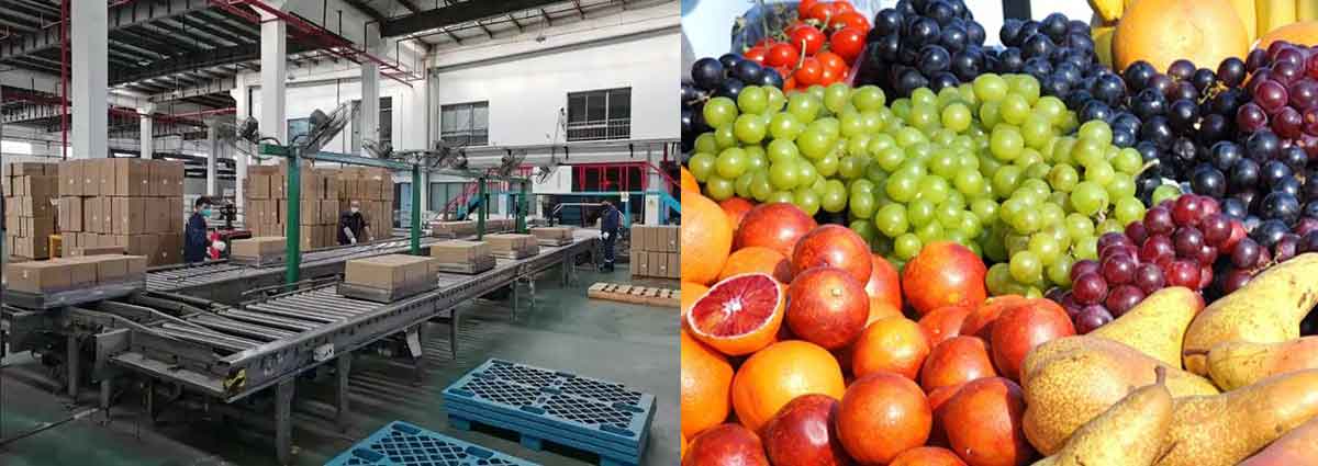 How Cold Chain Integration Enhances Gamma Radiation Food Sterilization ...