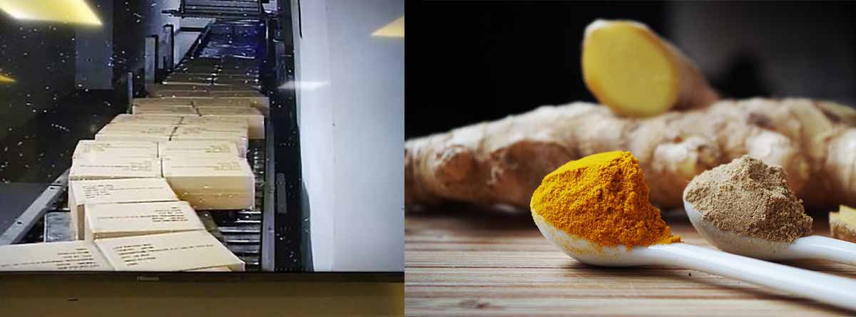 Understanding the Environmental Benefits of Ozone Food Sterilization ...