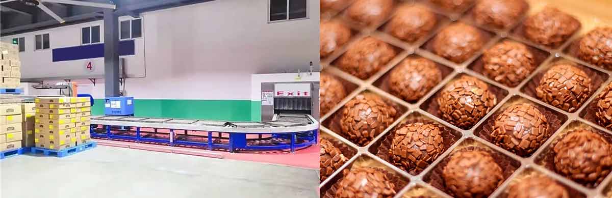 Does Gamma Ray Food Sterilization Really Change Flavor? - EBM MACHINE