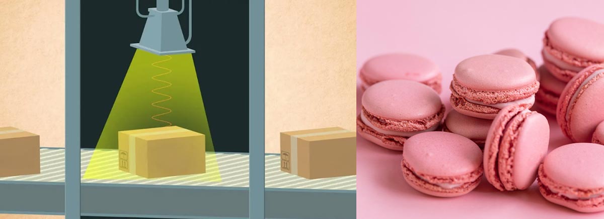 Evaluating Food Sterility Testing Methods for Safer Ready-to-Eat Meals ...