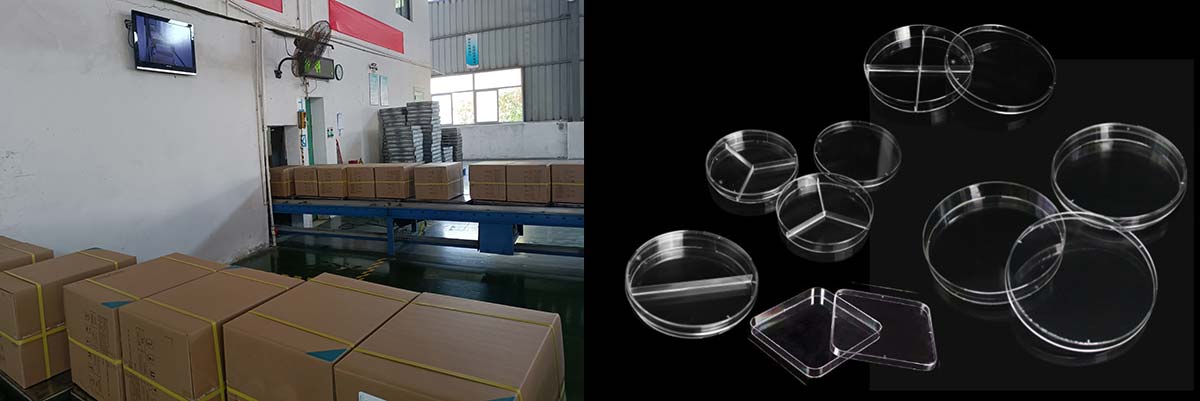Best Practices for Conducting Dose Mapping in E-Beam Sterilization ...