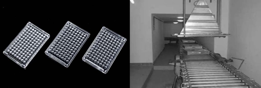 Understanding Water Radiolysis in Electron Beam Irradiation of Aqueous ...